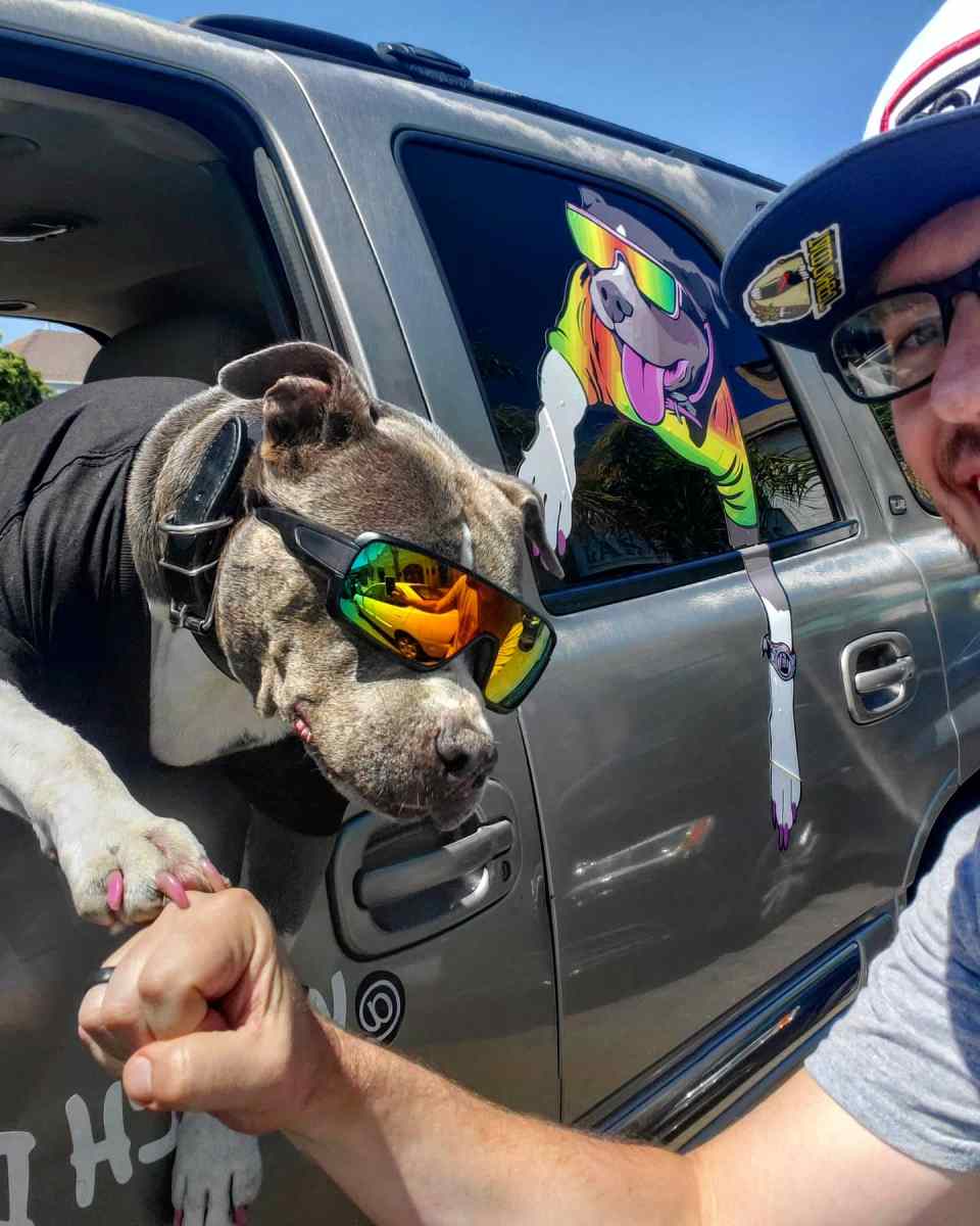 TACO DAY 745/1000LAS CUATRO MILPAS – TACOSLAYERS.COM